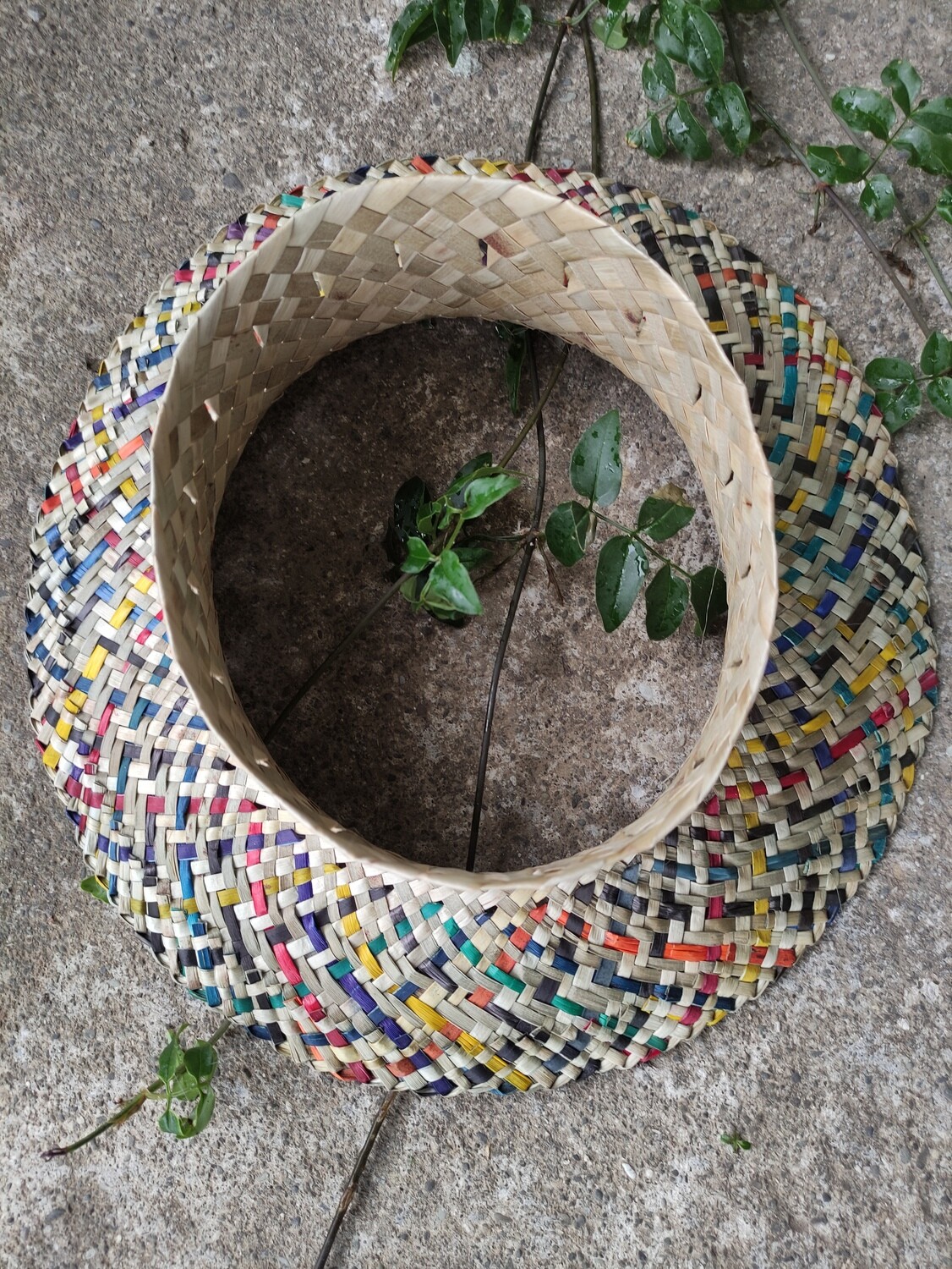 Natural harakeke pōtae with multi-coloured brim