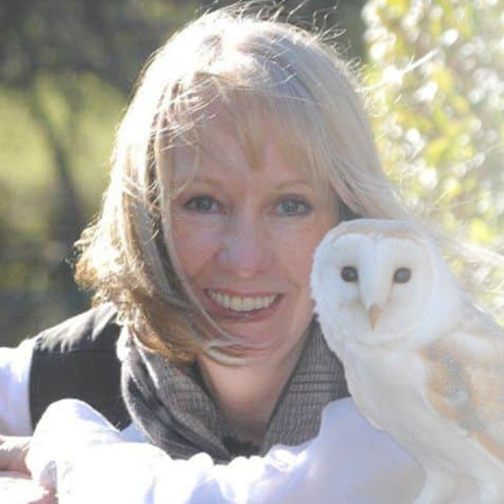 The Pollyanna Pickering Digital Collections