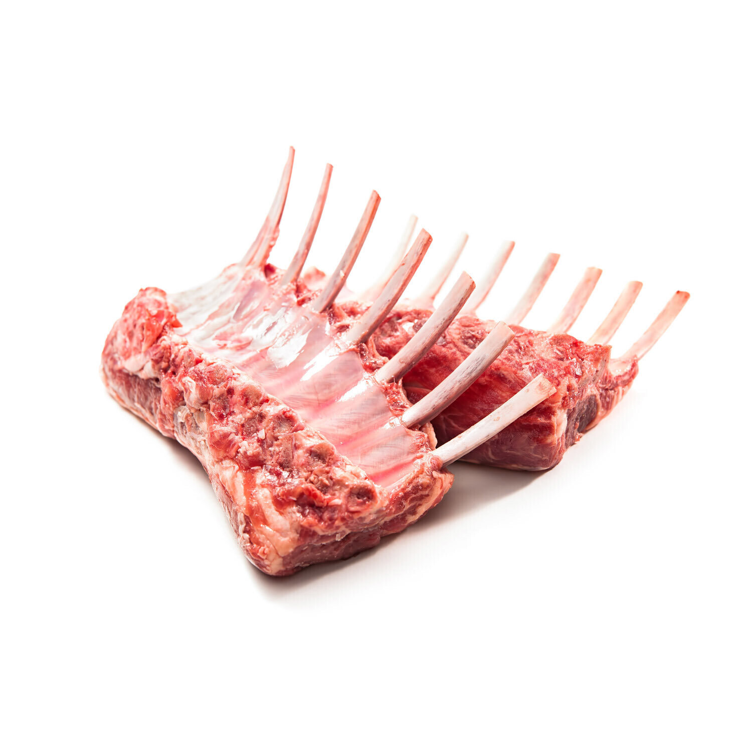 Sheep Rib