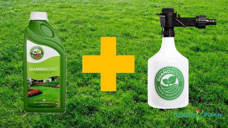 GuanoBoost 1Lt + Applicator Combo