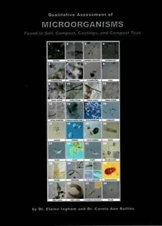 Qualitative Assessment of Microorganisms Poster