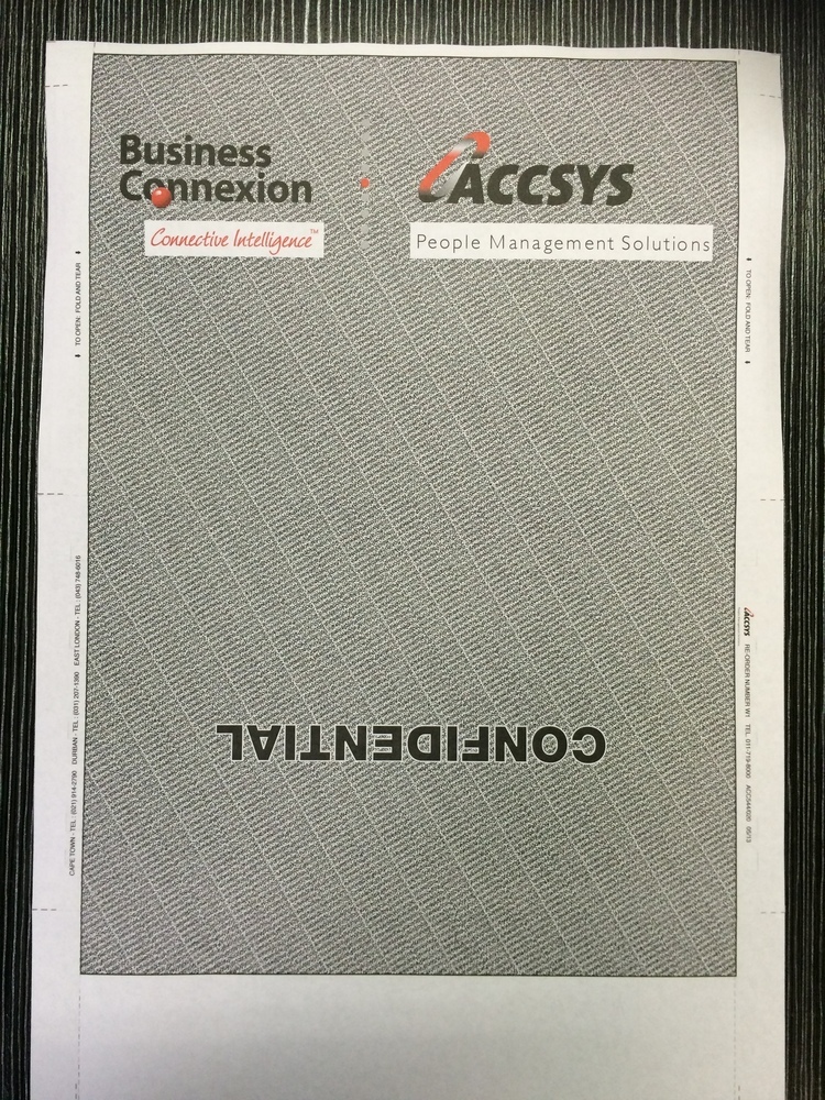 Accsys Payslips (1000)