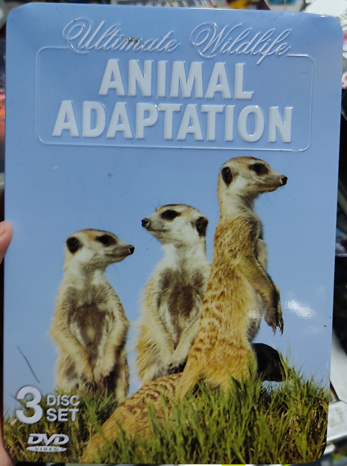Ultimate Wildlife Animal Adaptation 3 DVDs Caja Metalica Usado Completo