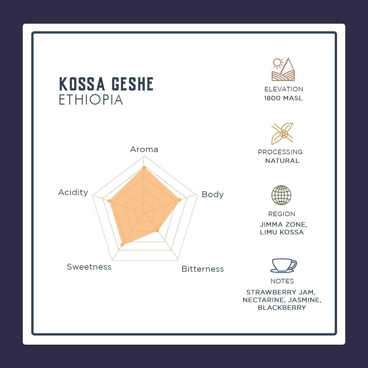 home [www.lumacoffeeroasters.com]