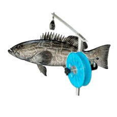 Store – Hi-Liner Fishing
