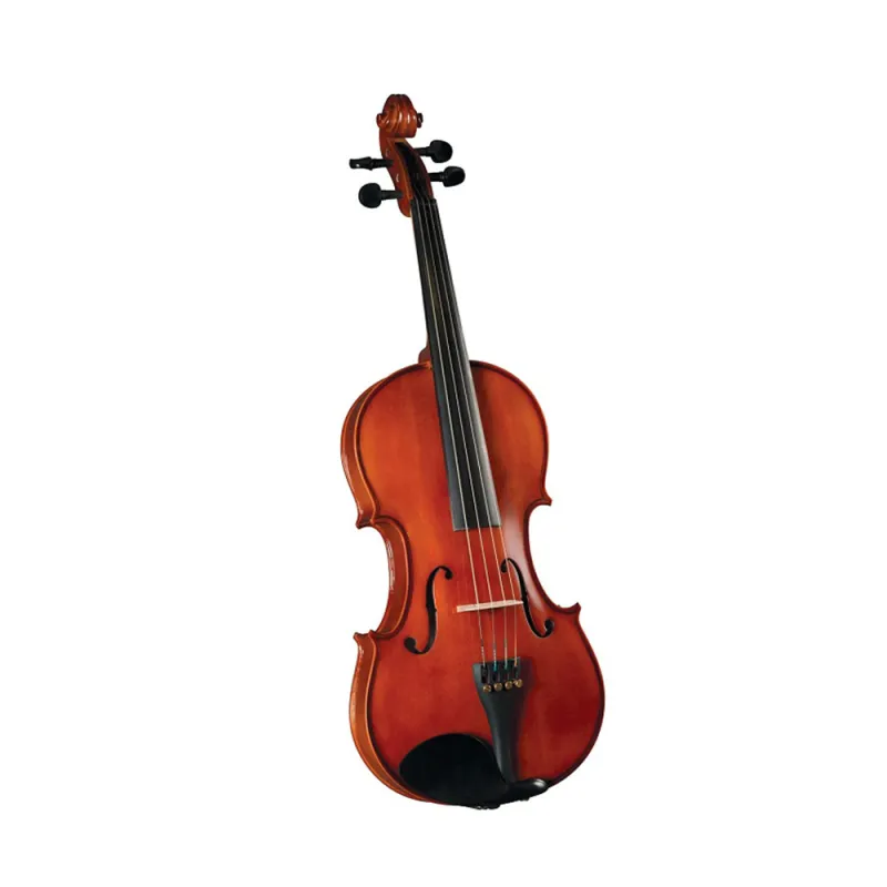 Violin Cervini Hv200 4/4 Con Estuche
