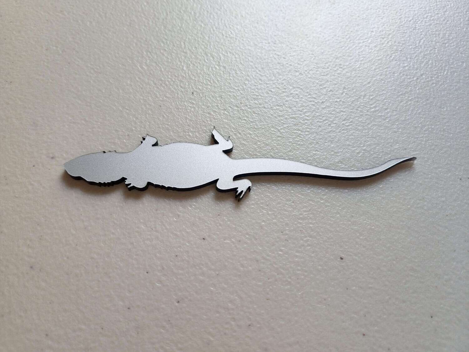 Shop | Real Aussie Reptiles