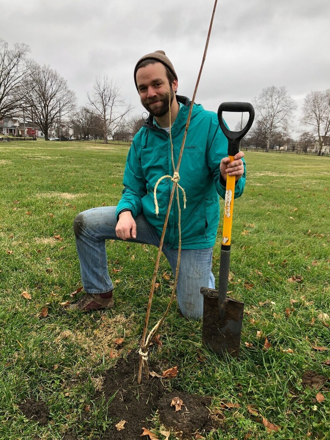 7-Gallon Container Tree Charitable Gift