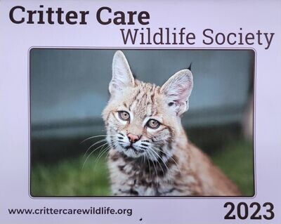 Critter Care Wildlife