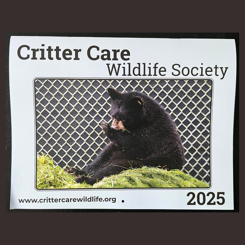 Critter Care Wildlife Society