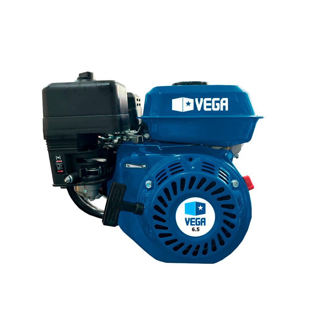 Página Inicial - Vega Brasil