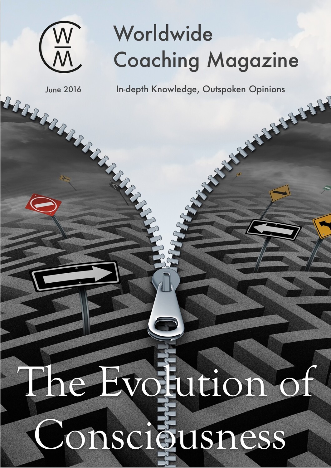 The Evolution of Consciousness