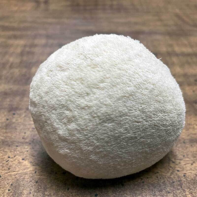 Shop Lion's Mane and Oyster Mushrooms Shipped & Delivered!