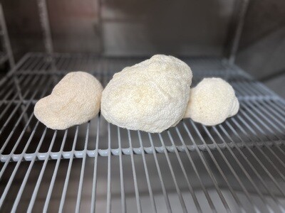 Shop Lion's Mane and Oyster Mushrooms Shipped & Delivered!