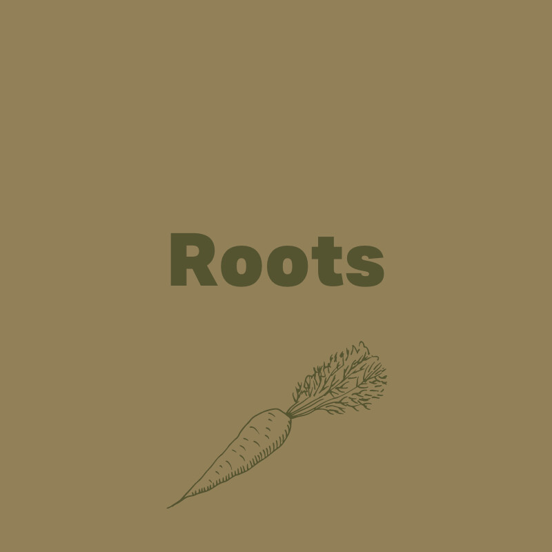 Roots
