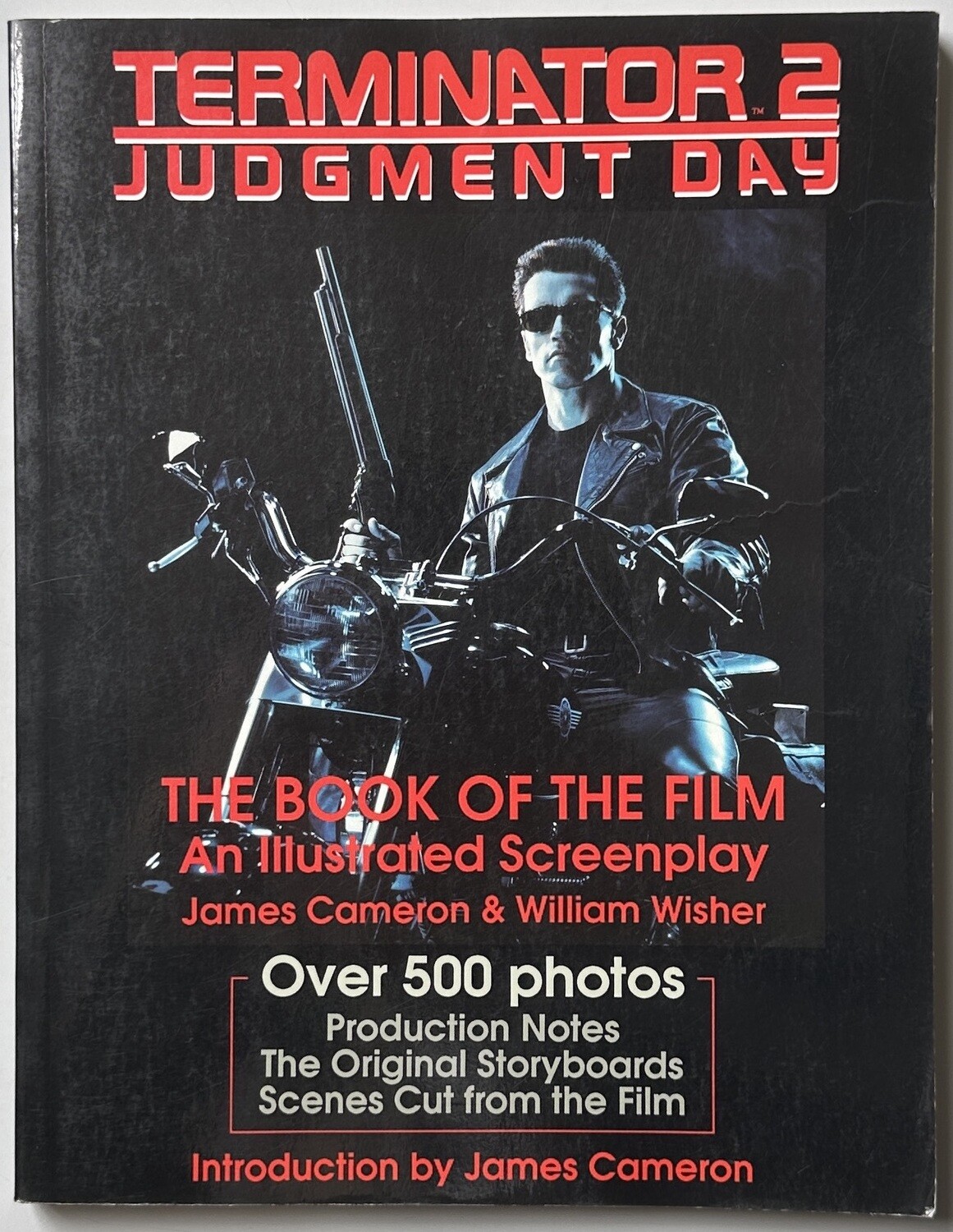 Terminator 2 Teaser Poster