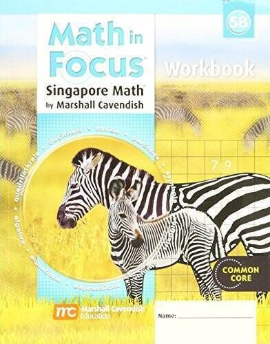 Math in Focus 5B Workbook