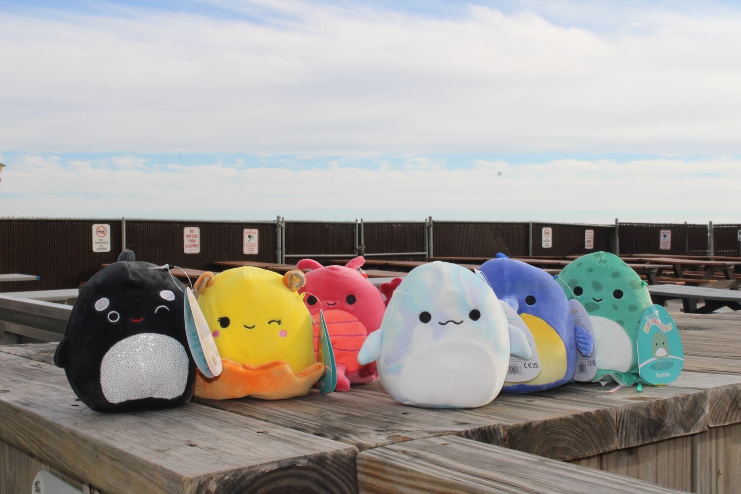 Squishmallows - Mini Sea Life Squishes!