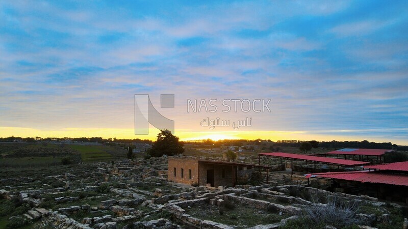 Drone footage shows an overview of buildings with trees in Libya, Libya ...