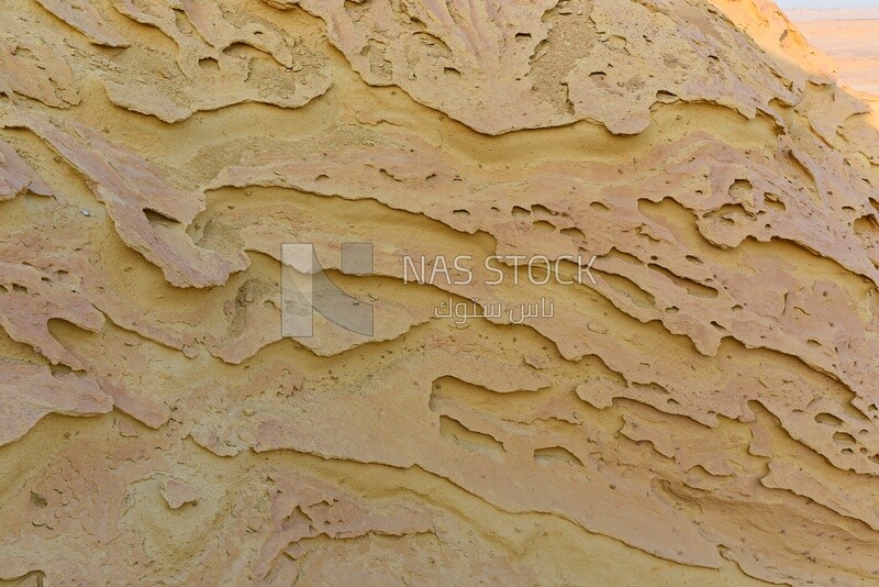 A scene of excavations inside a sandy mountain in Wadi El Hitan, Egypt