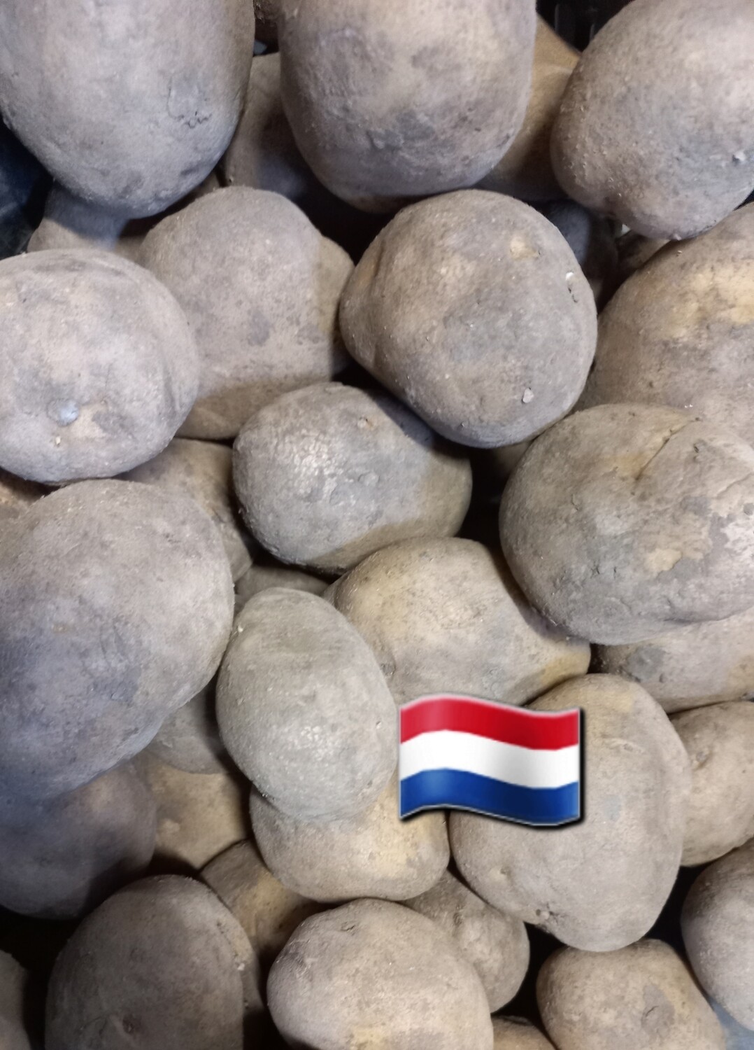Zeeuwse roem Aardappels 2.5kg