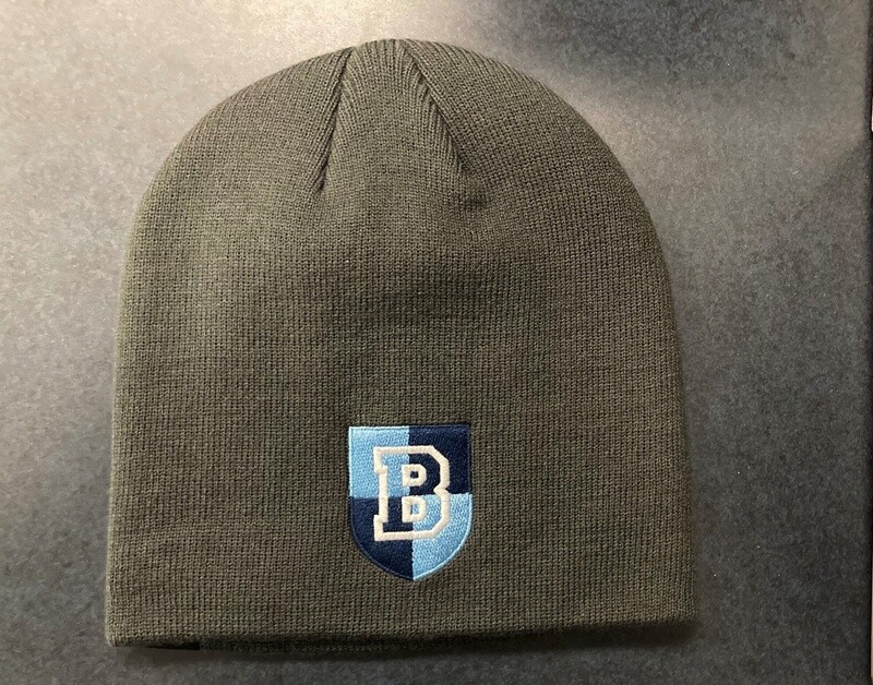NEFF Grey Beanie