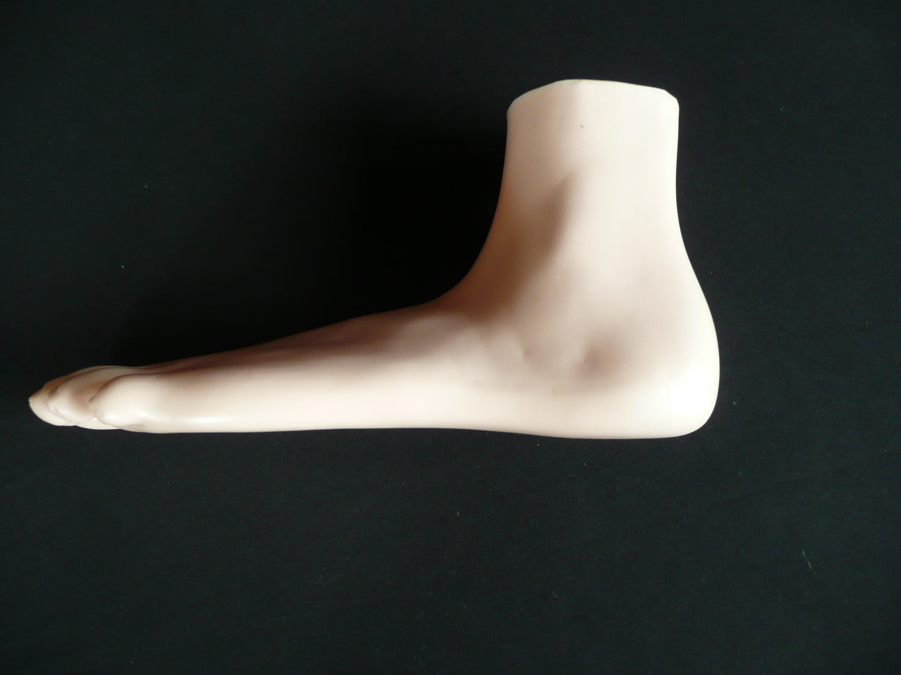 Anatomical Human Normal, Flat and Arched Feet Model | Joints – Store ...