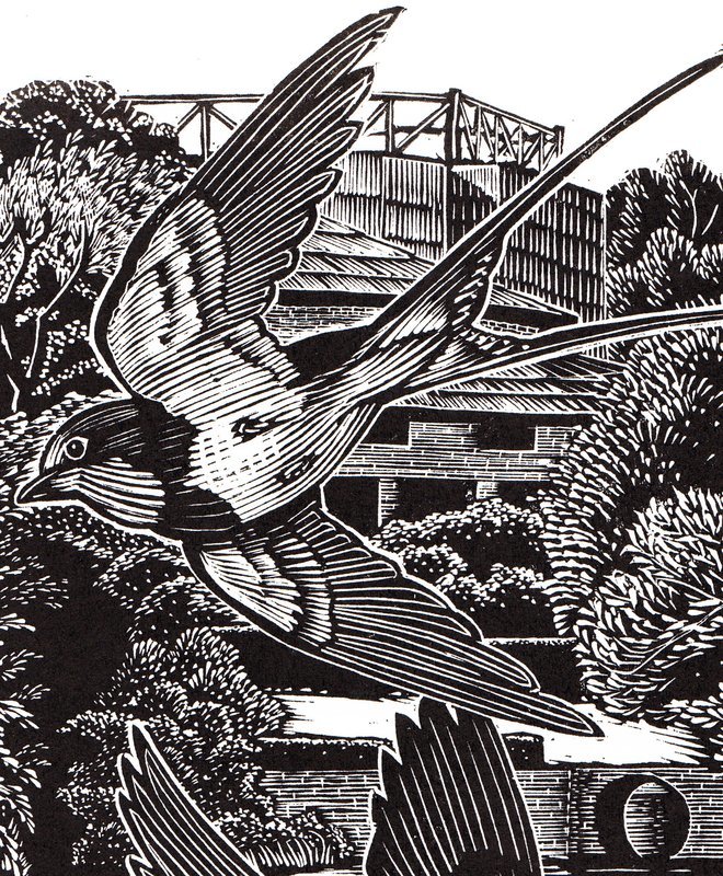 Keith Pettit