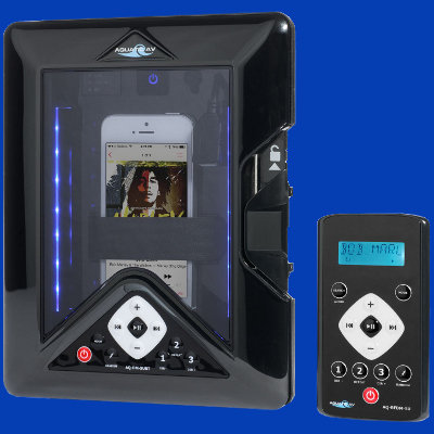 Stereo & Audio System Parts