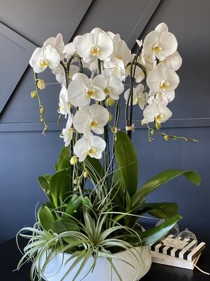 Luxury Flowers Miami