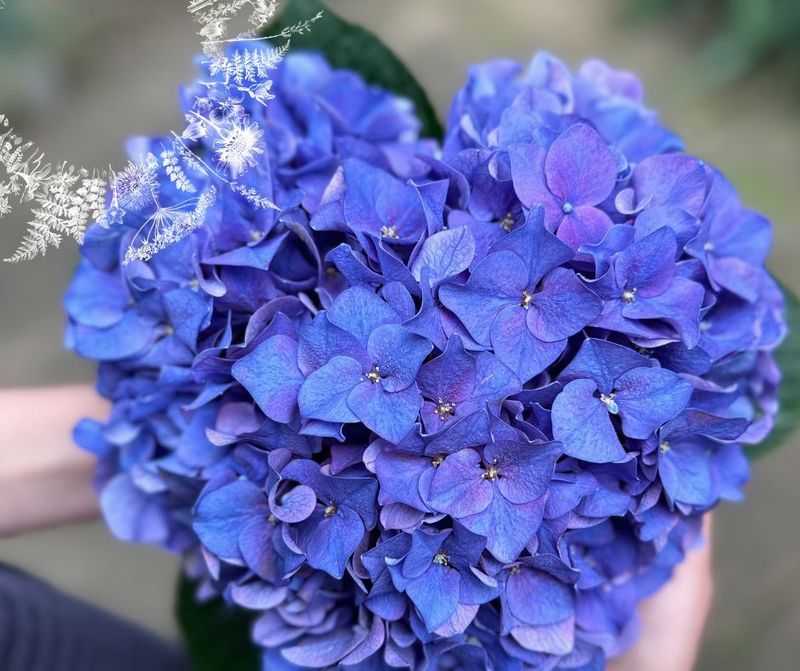 {Delivery} We deliver flowers to Yardley Hastings