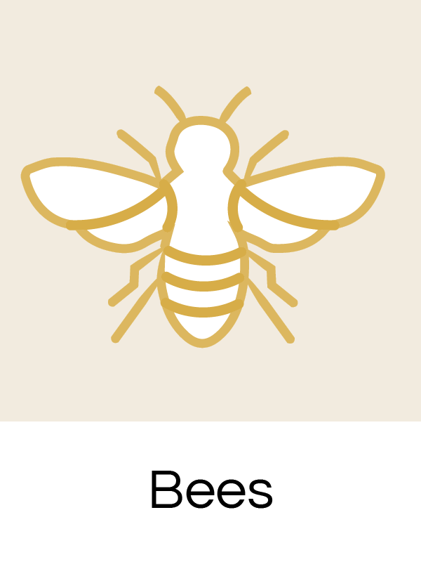 Bees