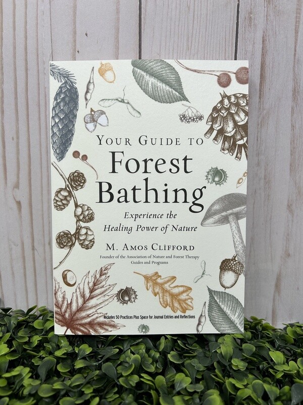 Your Guide to Forest Bathing
