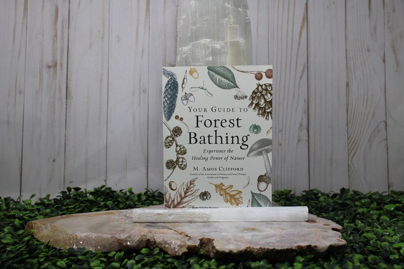 Your Guide to Forest Bathing