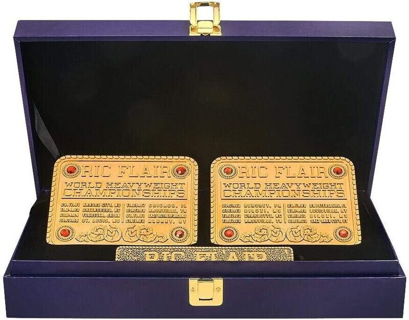WWE RIC Flair WCW Replica X16Championship Title Belt Name Plate & Side ...