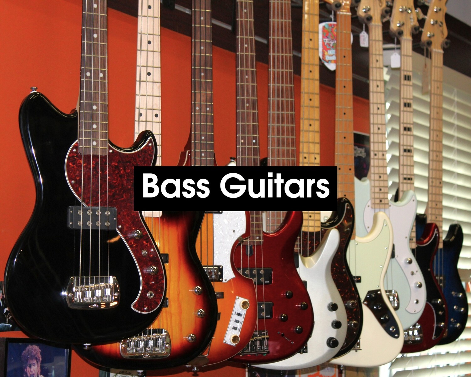 Store | WE SHIP WORLDWIDE!