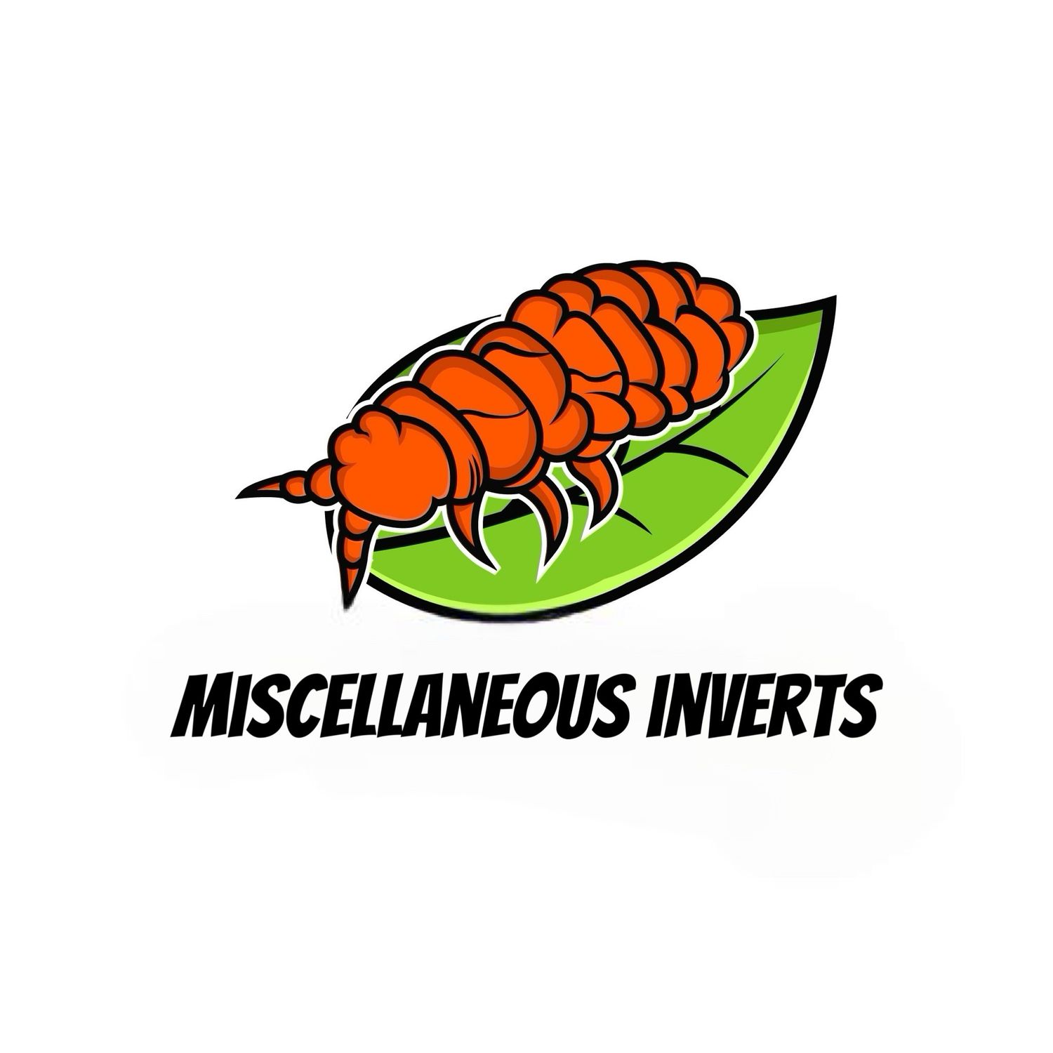 Miscellaneous Inverts