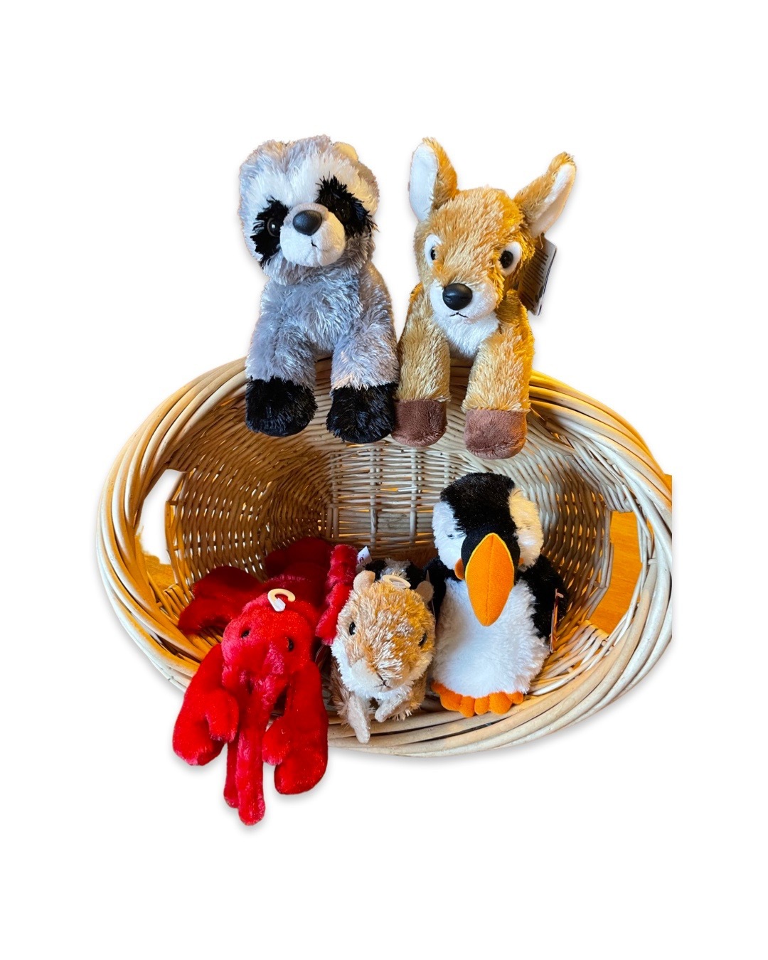 Aurora Stuffed Animal | Gift Shop Online Store