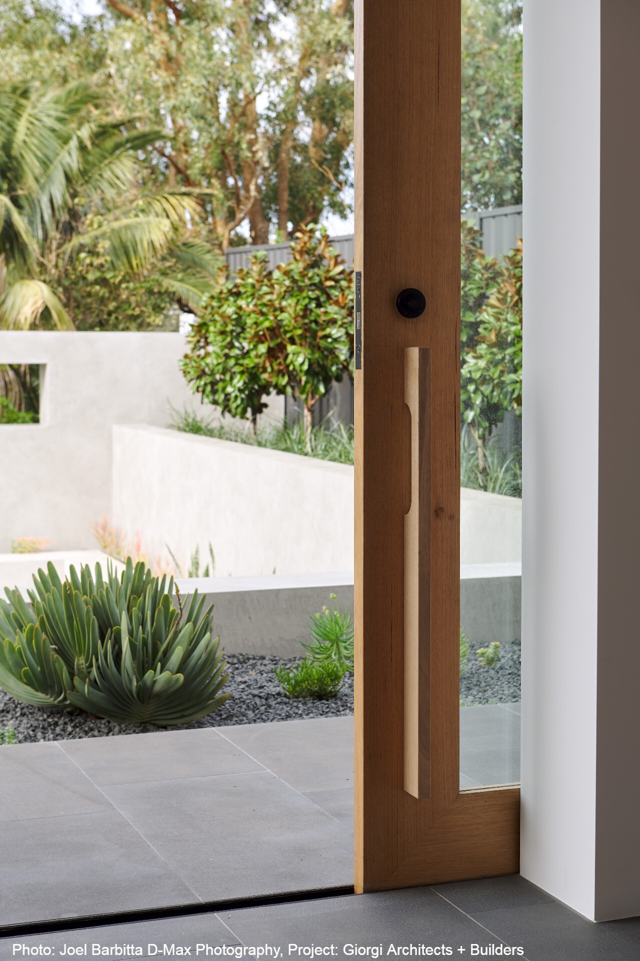 Door Handle | BODO CURVED Timber ENTRY Handle SET | Online Store