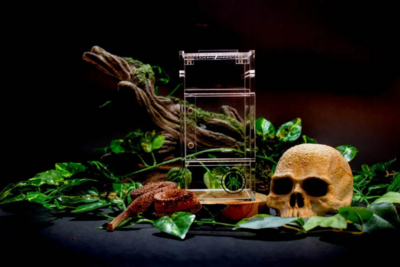 Products — Mini Beasts Canada