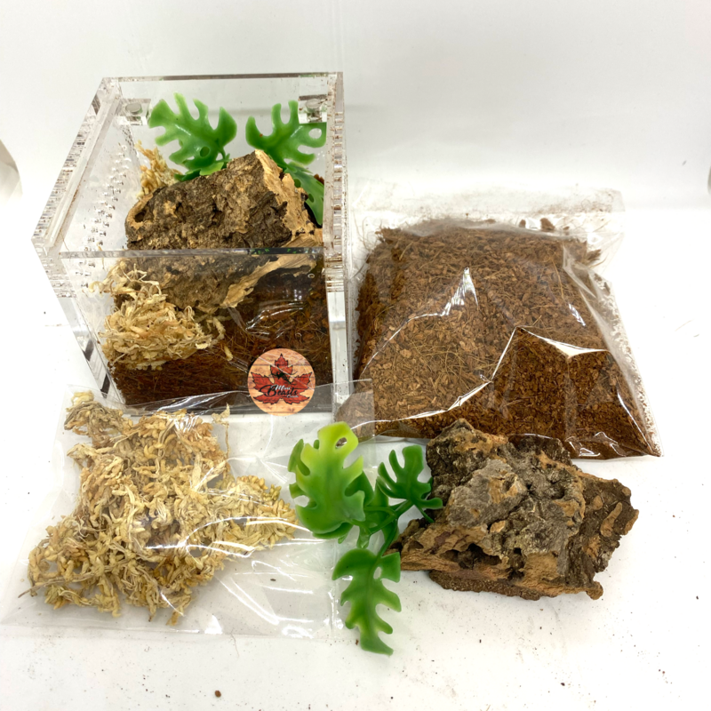 Mini Beasts Terrestrial Interior Setup Kit (For 3x3x3 Or Similar Size ...
