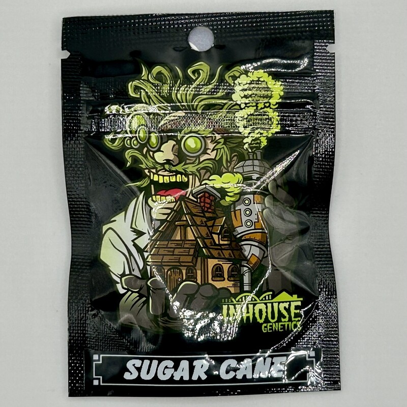 In House Genetics Sugar Cane 5pk (Fem)