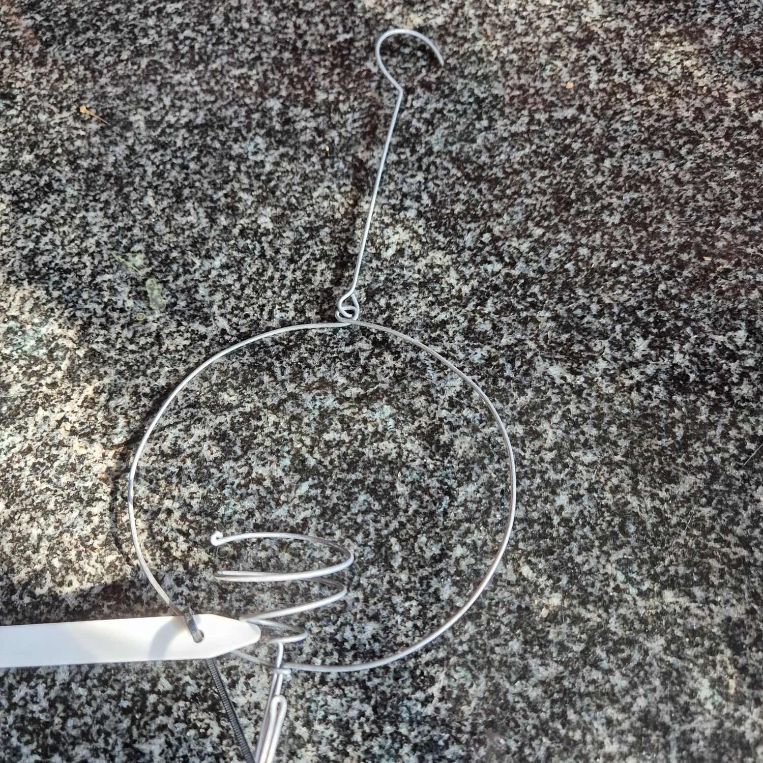 Tillandsia wire circle form