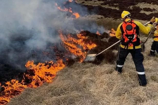 Wild Land Fire Fighting, Equipment & PPE