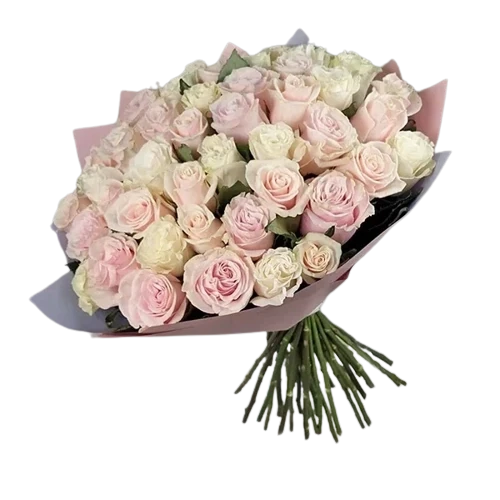Pink Roses - Call & Home Delivery