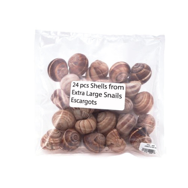 ESCARGOTS EMPTY EXTRA LARGE SNAILS SHELLS 24CT