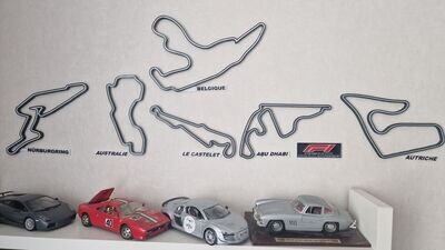 Les circuits automobiles