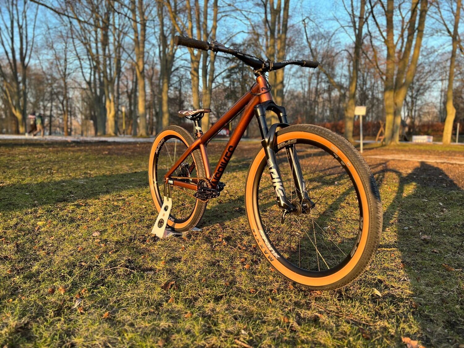 Custom Dirt Bike NS Decade V2