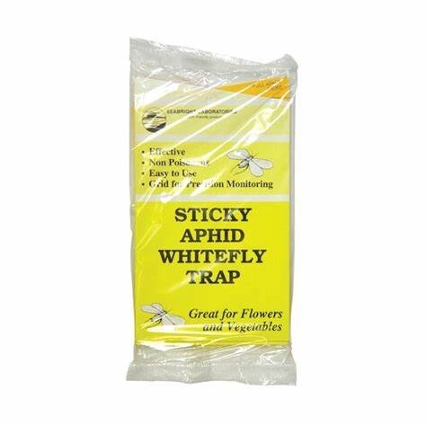 Seabright Yellow Sticky Aphid/Whitefly Trap (5-count)