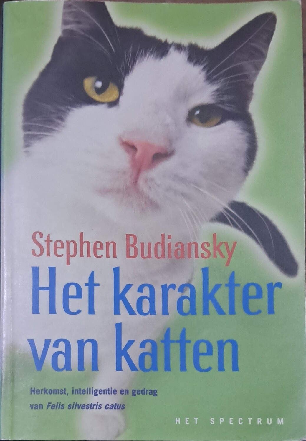 Het karakter van katten